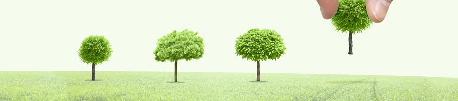 Brugnera | Ambiente Servizi